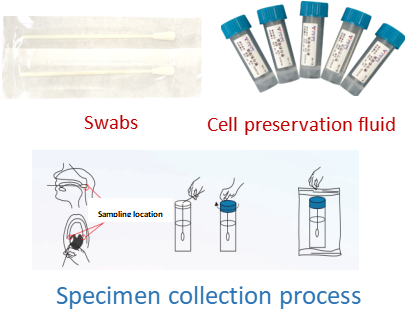 Products – Medtech International